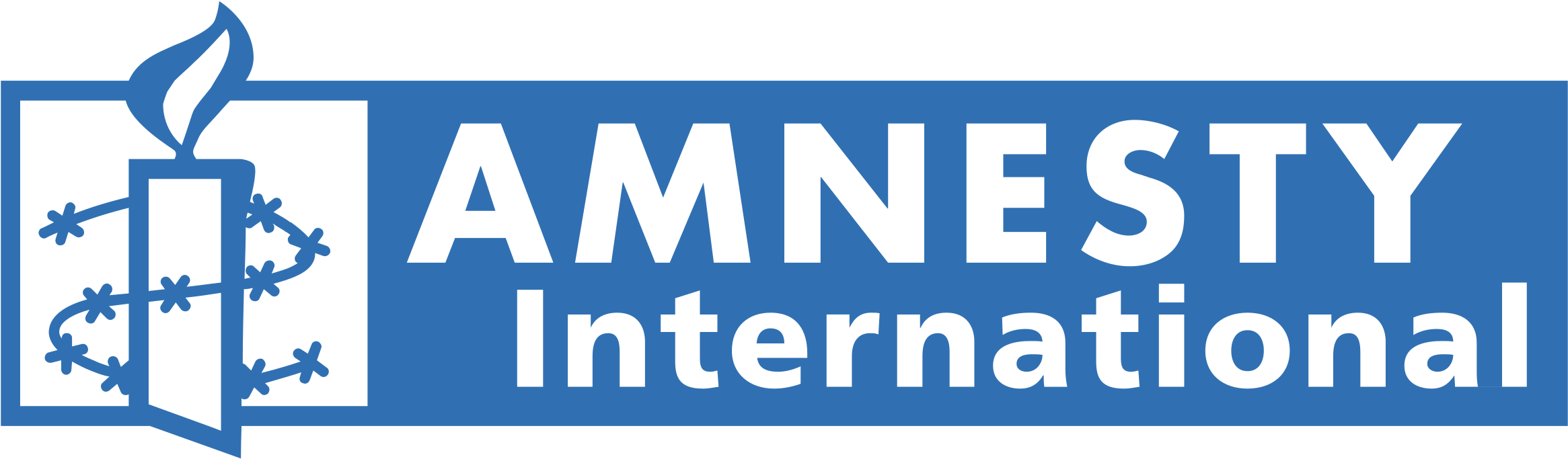 Download Amnesty International Logo Png Transparent - Amnesty ...
