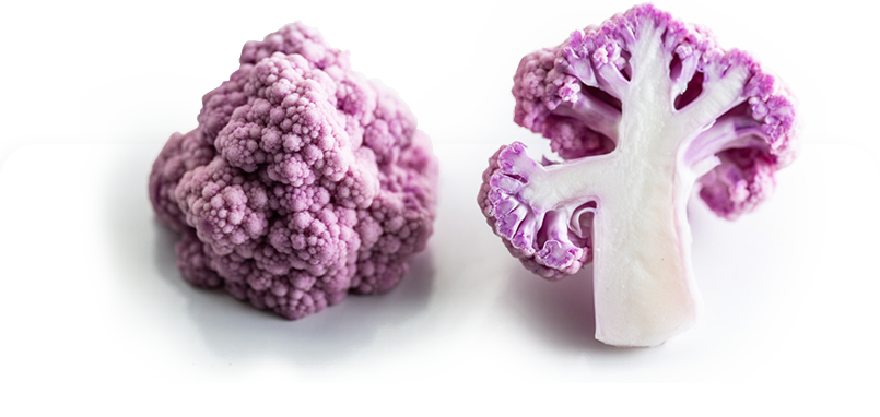 Download Hello We Can Give You A Call - Florida PNG Image with No ...