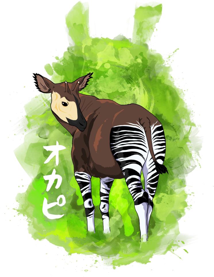 Download Okapi Illustration PNG Image with No Background - PNGkey.com