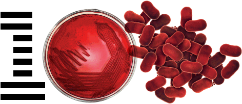 Download Ibm100 Tracking Infectious Diseases Iconic Mark - Disease ...