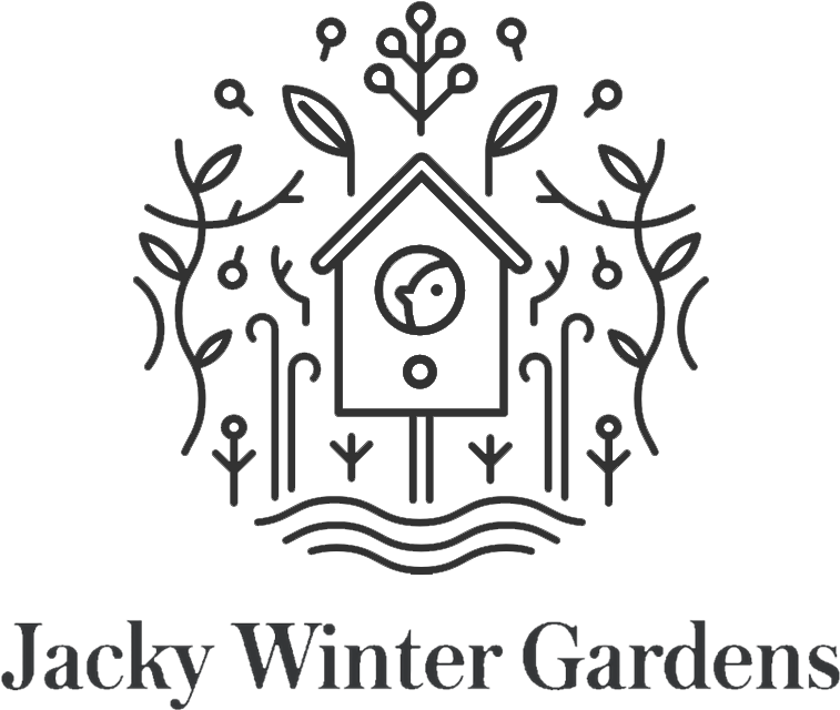 Download Jacky Winter PNG Image with No Background - PNGkey.com
