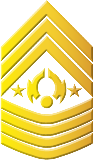 Download Csm Rank Png - Sergeant PNG Image with No Background - PNGkey.com