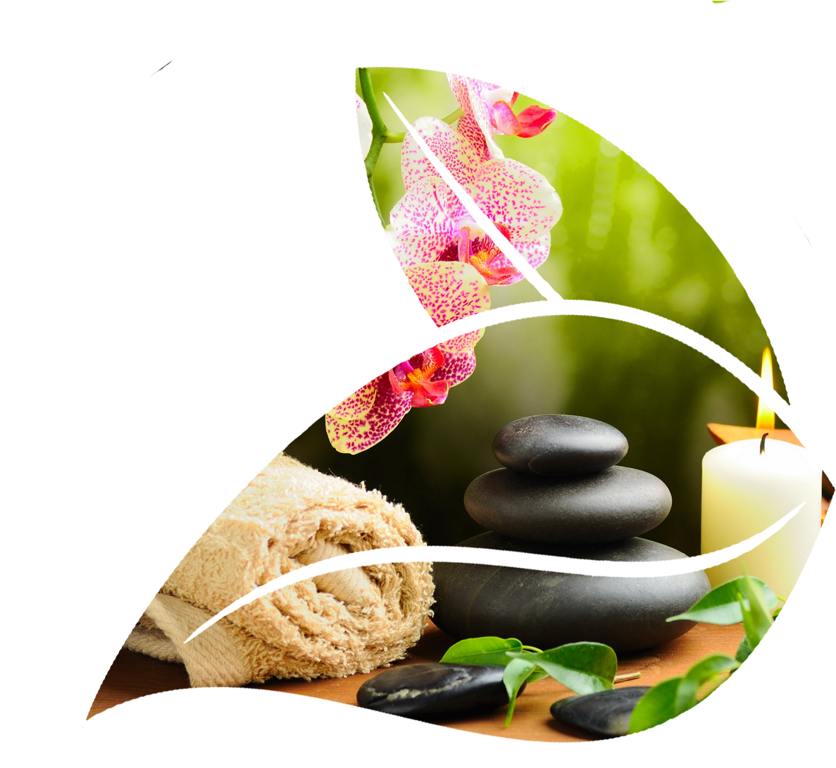 Download Go To Image - Day Spa Png PNG Image with No Background ...