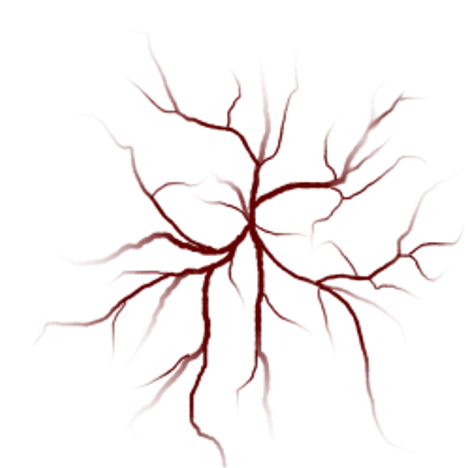 Download Png Veins PNG Image with No Background - PNGkey.com