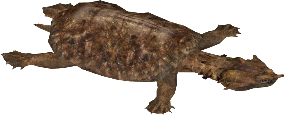 Download Mata Mata - Mata Mata Turtle Png PNG Image with No Background ...