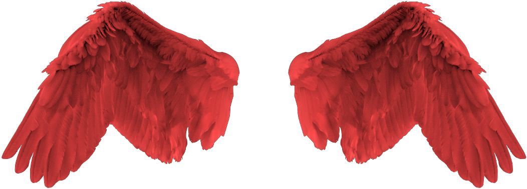 Red Angel Wing - Free Transparent PNG Download - PNGkey