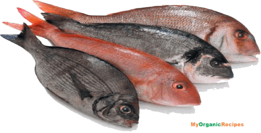 Download Free Png Fish Meat Png Images Transparent - Fish Meat PNG ...