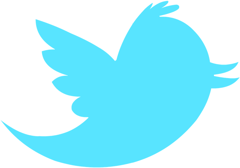 Download Twitter Bird Transparent - Twitter Icon Without Background PNG ...