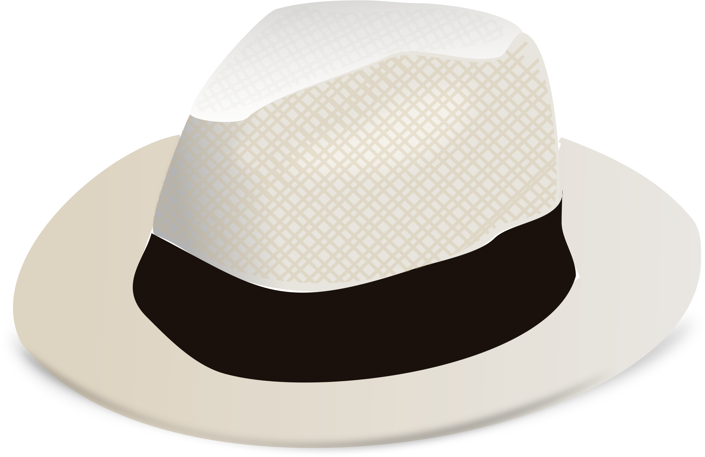 Hat Png Transparent - Panama Hat Vector Png - Free Transparent PNG ...