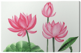 Download Watercolor Painting Of Pink Lotus Flower Canvas Print - Pink ...