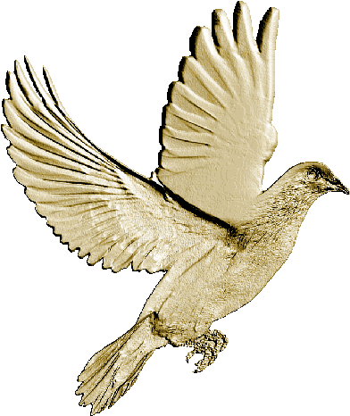 Download Golden Dove - Golden Dove Diner Restaurant PNG Image with No ...