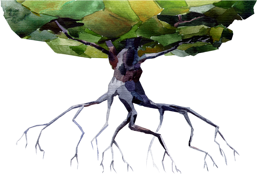 Tree - Free Transparent PNG Download - PNGkey