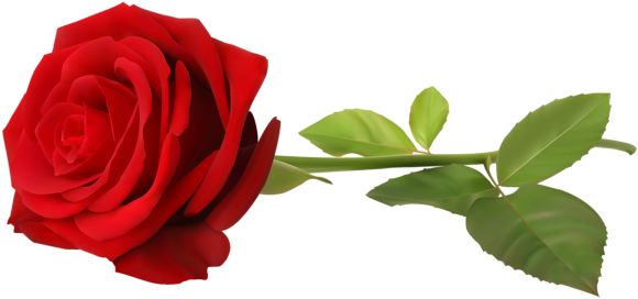 Download Love Red Rose Single Png Clip Art - Rose Png PNG Image with No ...