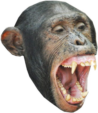 Monkey Head Messages Sticker-2 - Monkey - Free Transparent PNG Download ...