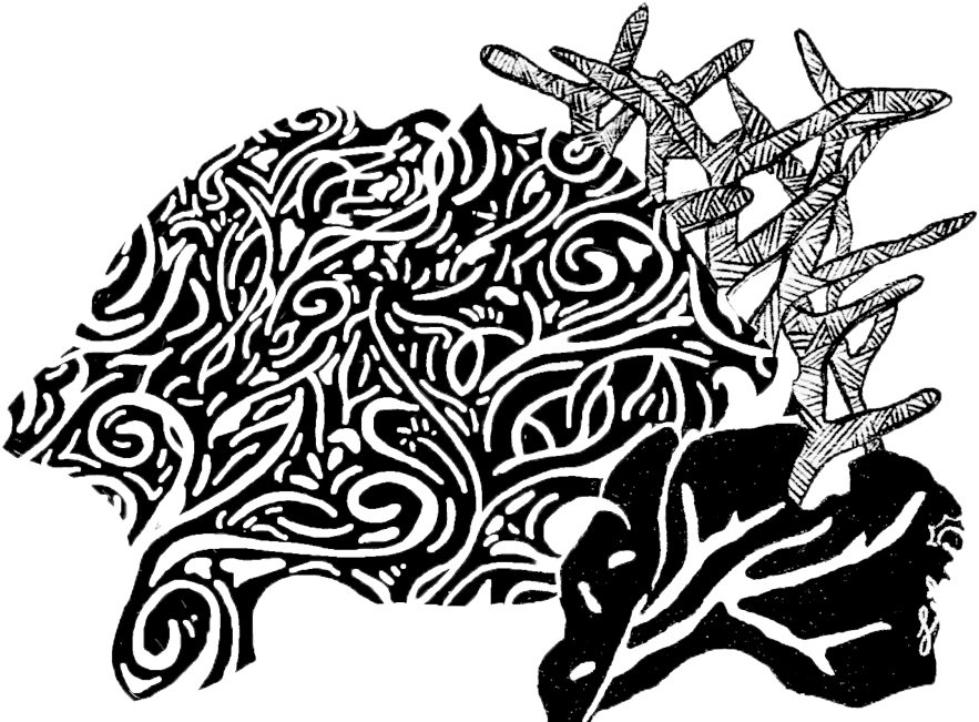 Download Coral Complete Trns - Portable Network Graphics PNG Image with ...