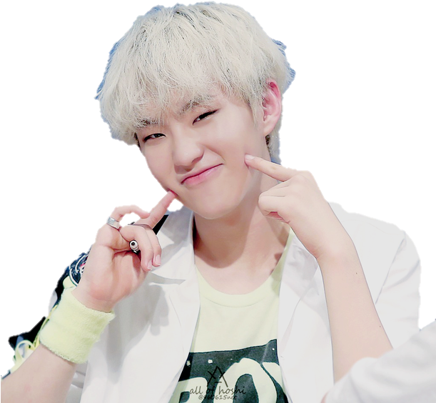 Download Related Wallpapers - Hoshi Memes PNG Image with No Background ...