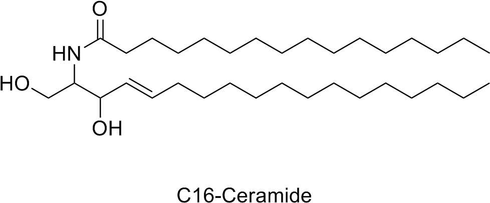 Download What The Eff Are They And Why Are They In My - Structure PNG ...