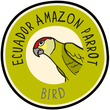 Download Zoo Clipart Parrot - Chester Zoo Parrots PNG Image with No ...