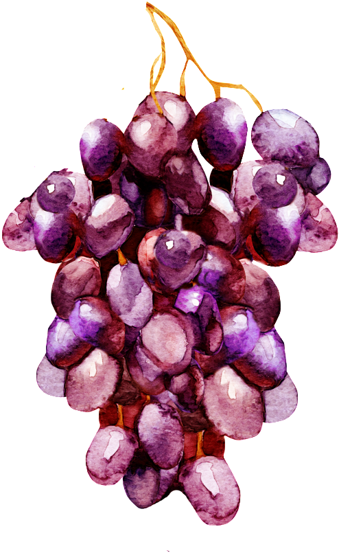 Download Hand Painted A Bunch Of Purple Grapes Decorative - Transparent ...