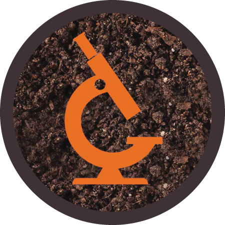 Download 50 Per Soil Sample - Icon PNG Image with No Background ...
