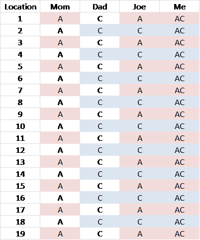 Download Parents Dna To Child PNG Image with No Background - PNGkey.com