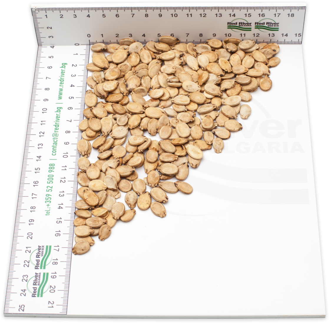 Download Watermelon Seeds Gold - Seed PNG Image with No Background ...