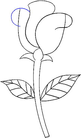 How To Draw Simple Rose - Drawing - Free Transparent PNG Download - PNGkey