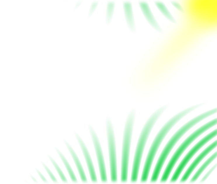 Starburst - Pattern - Free Transparent PNG Download - PNGkey