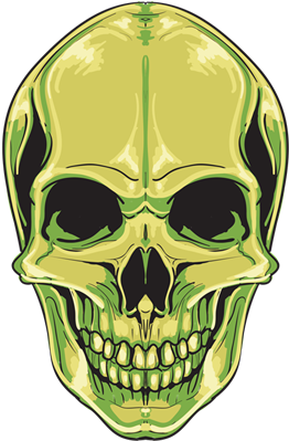 Download Green Skull - Skull Vector PNG Image with No Background ...