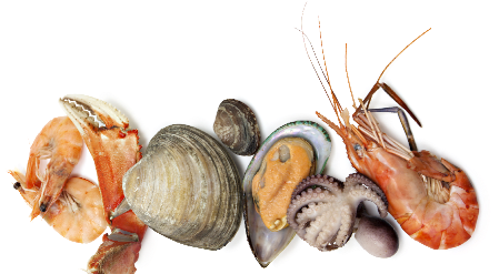 Mariscos Png - Pescados Y Mariscos Png - Free Transparent PNG Download ...