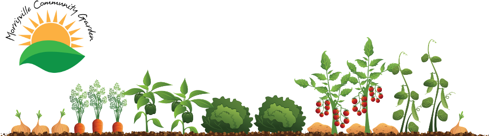 Garden Clipart Community Garden - Vegetable Garden Illustration - Free ...
