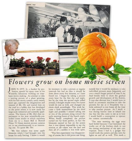 Download Following Several Experiments, Dr - Pumpkin PNG Image with No ...