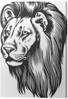 Download Aslan Kafasi PNG Image with No Background - PNGkey.com