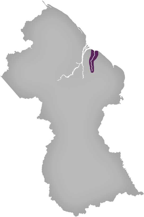 Download Demerara River - Map Of Guyana Showing Administrative PNG ...