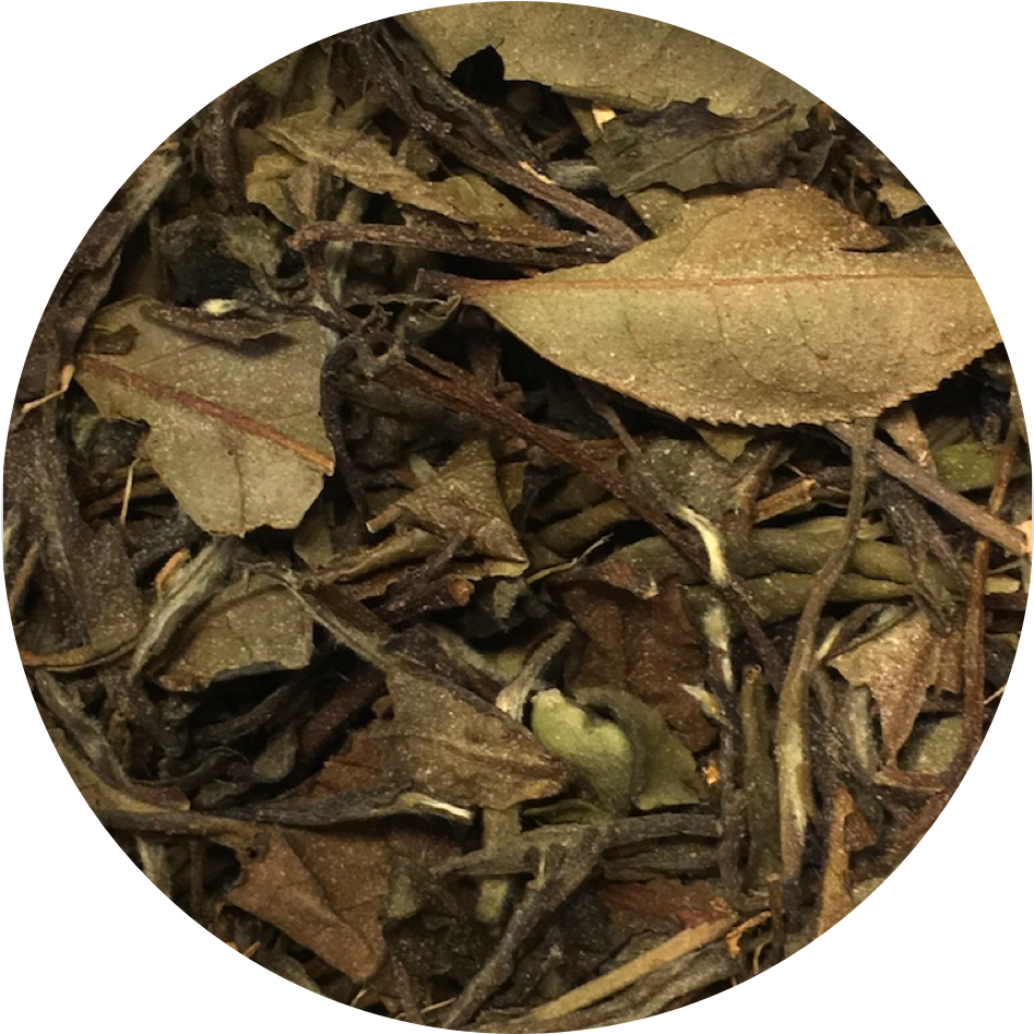 Download Vanilla Chai Tea PNG Image with No Background - PNGkey.com