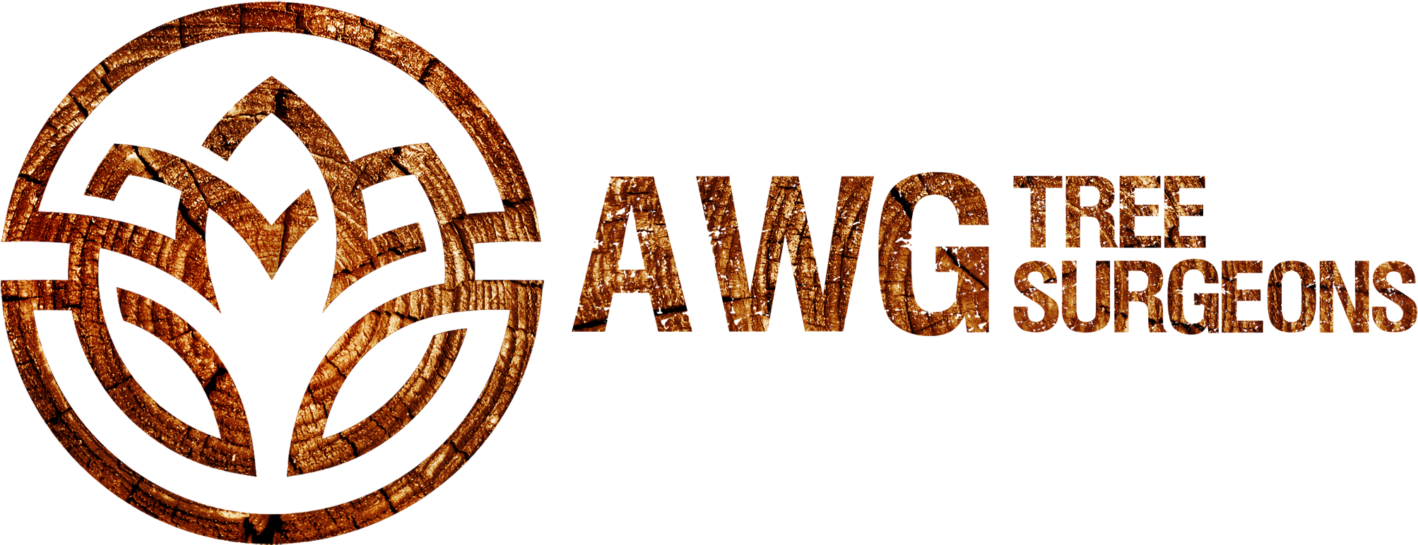 Download Logo PNG Image with No Background - PNGkey.com