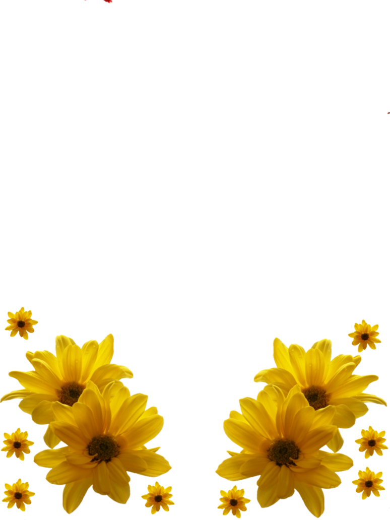Download Flower Frame Png, Flowers, Gallery, Art, Birthday Wishes ...