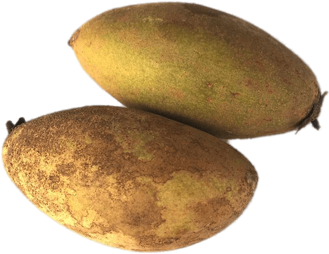 Download Whole Ciku Fruit Png - Sapodilla PNG Image with No Background ...