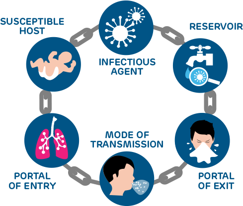 28 Collection Of Chain Of Infection Drawing - Chain Of Infections ...
