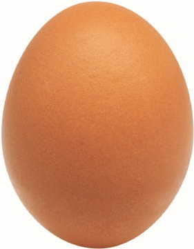 Aprende A Reconocer Un Huevo Fresco - Huevo De Gallina Png - Free ...