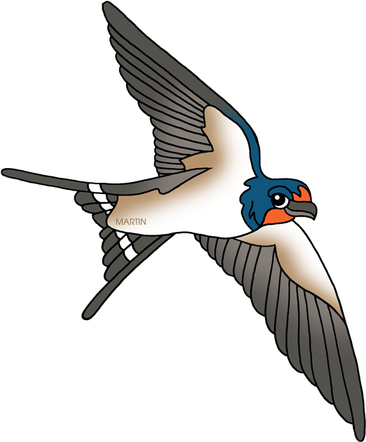 Barn Swallow Png Hd - Clipart Of A Swallow - Free Transparent PNG ...