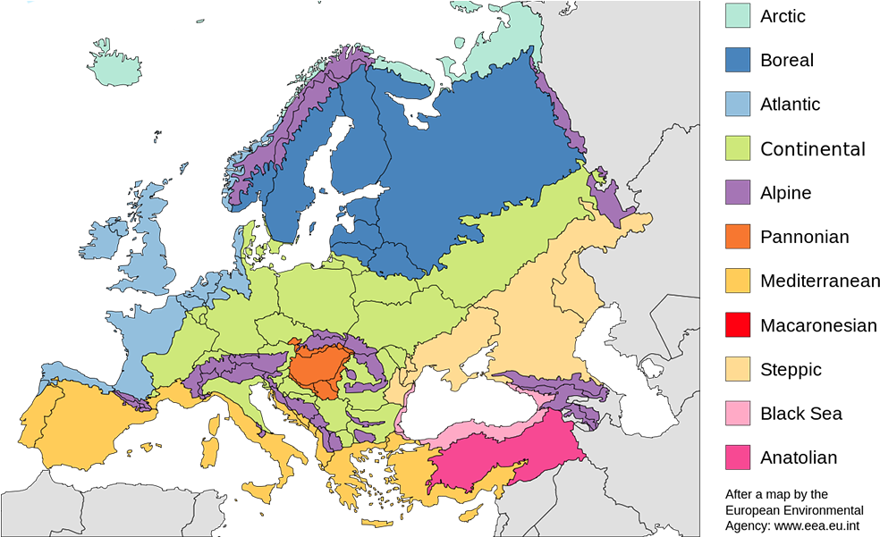 Download The Climate, The Geographical Position And The Terrain ...
