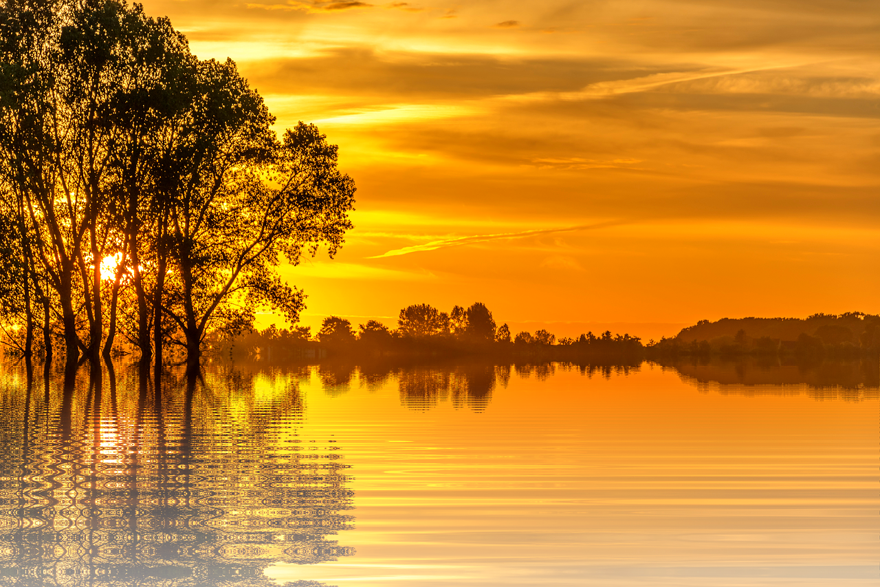 Download Vacation, Sunset, Sun, Holiday, Nature, Tree - Florida ...