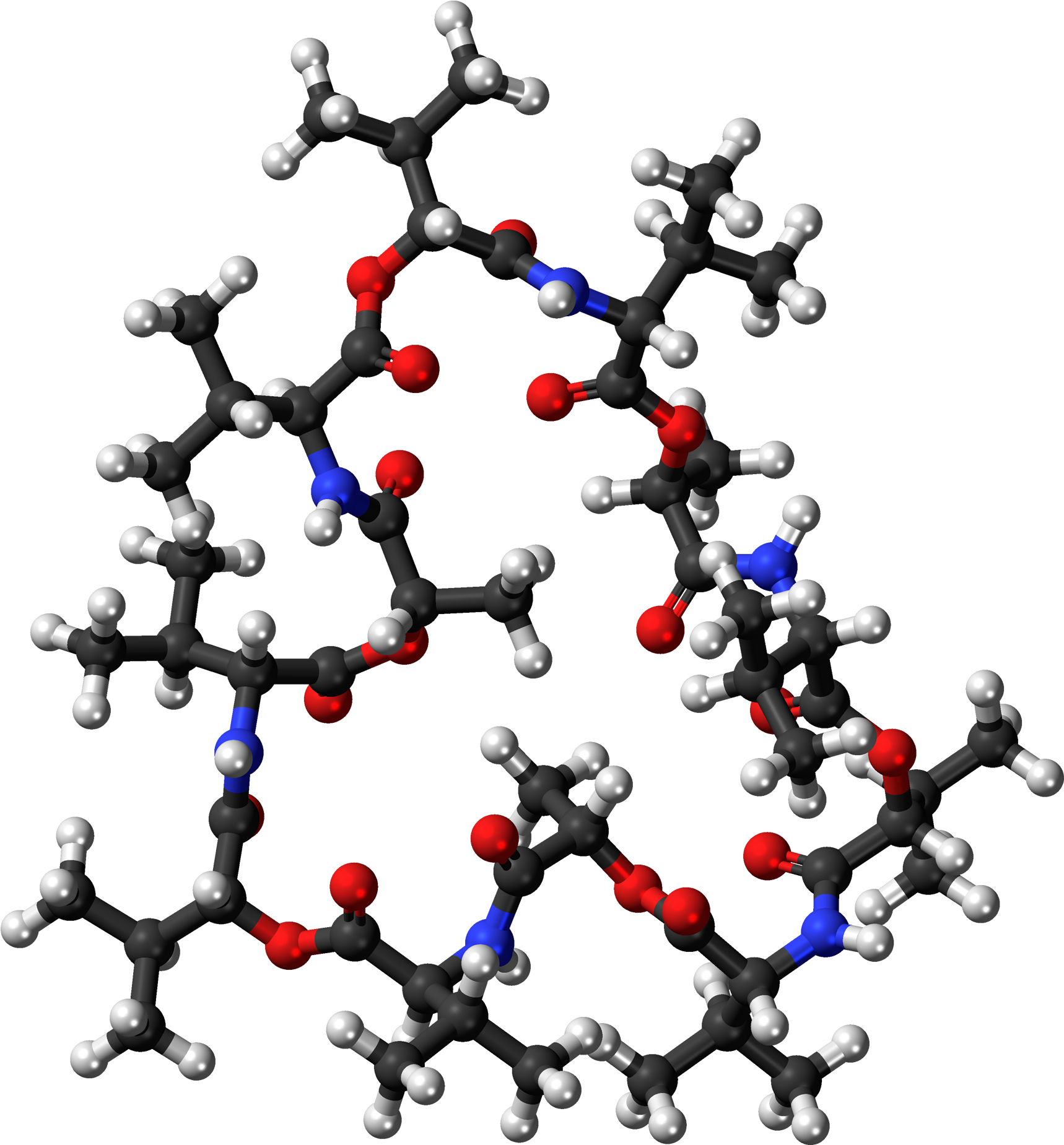 Download Valinomycin 3d Ball - Valinomycin 3d Structure PNG Image with ...