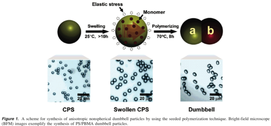 Download Summary - Circle PNG Image with No Background - PNGkey.com