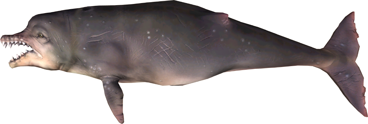 Download The Vault Fallout Wiki - Dolphin Whale Fallout 4 PNG Image ...