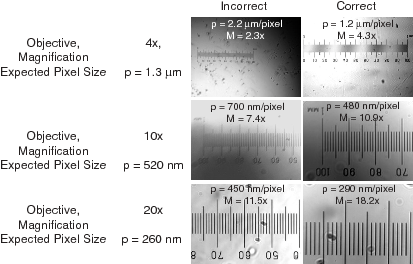 Example Of Correct And Incorrect Imaging Of A 1 Mm - Scale Bar 20x ...