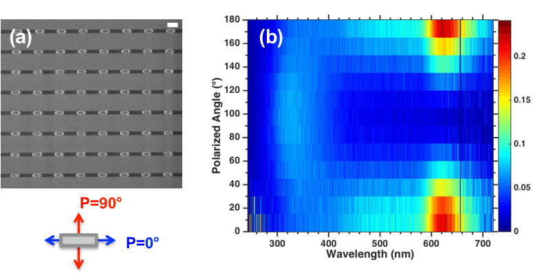 Download Scale Bar 200 Nm - Jpeg PNG Image with No Background - PNGkey.com