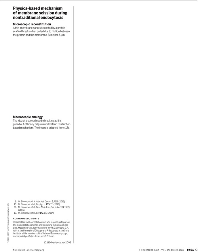 Document - Free Transparent PNG Download - PNGkey