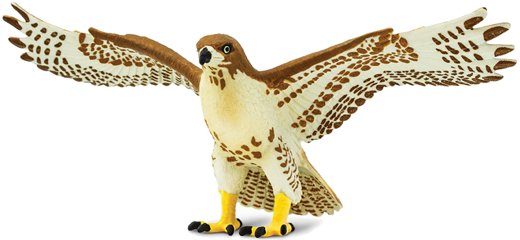 Download Buy Action Figure Safari Red-tailed Hawk 151029 Elkor - Red ...